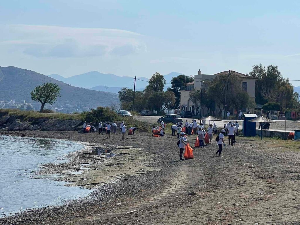 Υπάλληλοι της Δ.Ο.Υ Χαλκίδας καθάρισαν παραλίες - STEREA NEWS