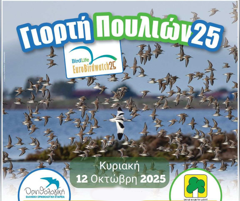 Γιορτή πουλιών 2025 στο Δέλτα Σπερχειού - STEREA NEWS
